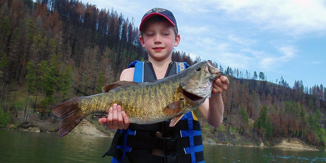 Smallmouth Bass - WeSportFish.com